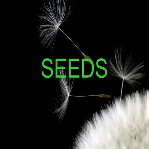 Seeds (unit 2) | PPT