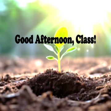 Seed Testing for Grade 12 students. PPts | PPT