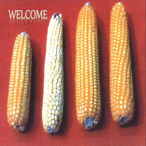 Seed viability equations and application of nomograohs in storage | PPTX