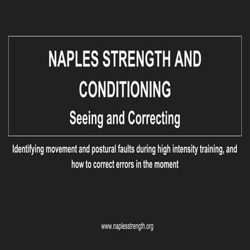 Seeing and Correcting | PDF