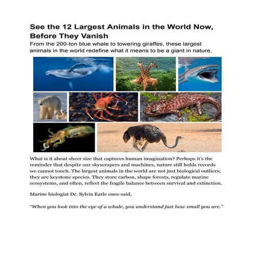 See the 12 Largest Animals in the World Now, Before They Vanish.pdf