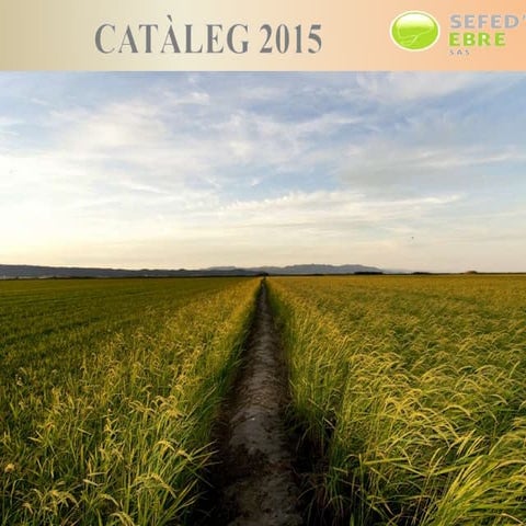 Sefed ebre català | PPT