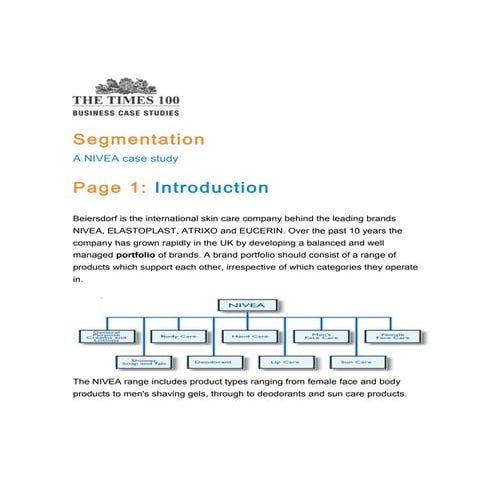 Segmentation case study-nevia | DOC