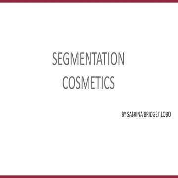 Segmentation ppt | PPT