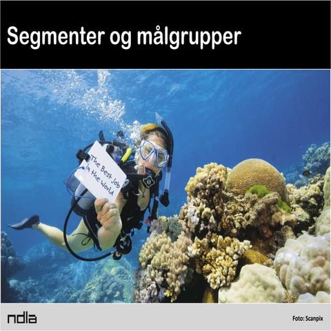 Segmenter og målgrupper | PPT