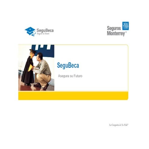 SeguBeca | PDF