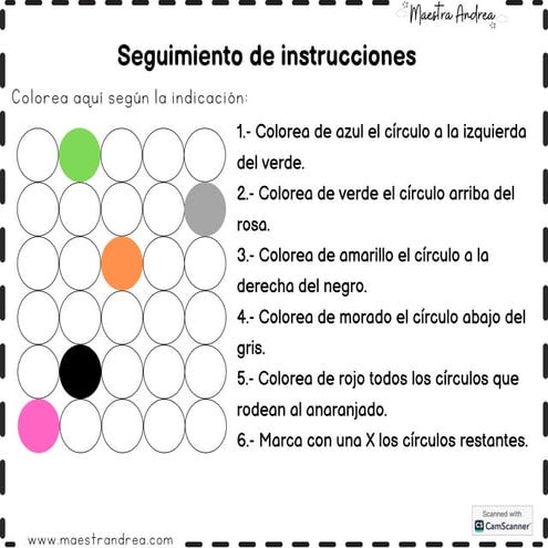 Seguimiento de instrucciones para primero | PDF