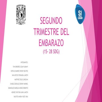 Segundo trimestre del embarazo 15-28 SDG | PPTX