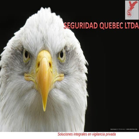 Seguridad quebec brochure empresarial | PPT