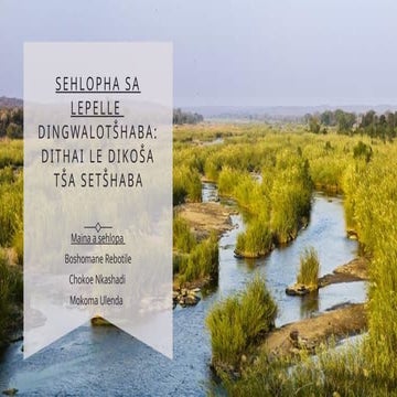 Sehlopha_sa_lepelle_(3)[1] PRESENTATIOB .pptx