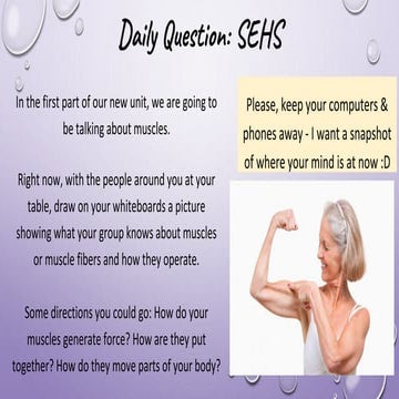 SEHS Daily Questions - Movement Analysis (2022-2023).pptx