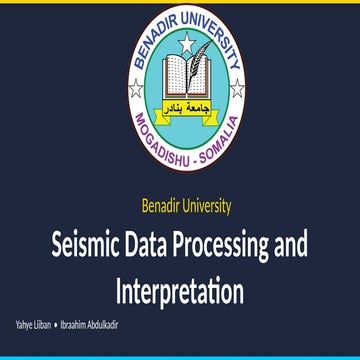Comprehensive Seismic Data Processing and Interpretation for Energy ...