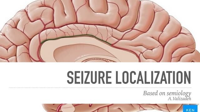 Seizure Localization Based On Semiology Ppt