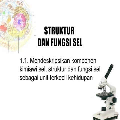Sejarah Teori Sel Ppteqweqweeqeqweqweqweqweqweq Ppt