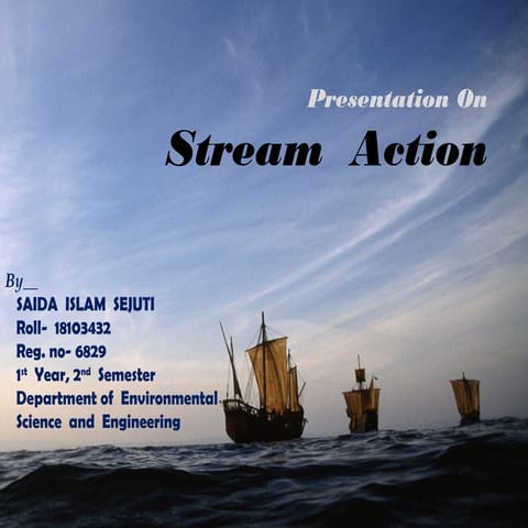 Presentation on Stream Action Perspectives and Cycles | PPT