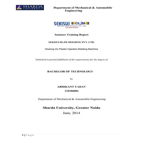SEKISUI DLJM Molding Pvt. Ltd. Industrial Report(Plastic Injection ...