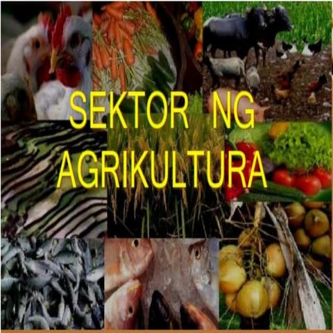 Ang Mga Sektor ng Agrikultura, paghahalaman, paghahayupan, pangugubat ...