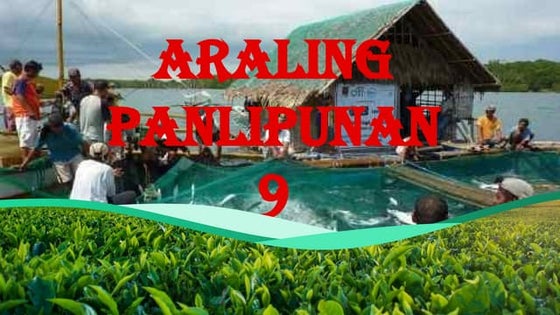 Ang Mga Sektor ng Agrikultura, paghahalaman, paghahayupan, pangugubat ...