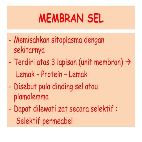Sel | PPT