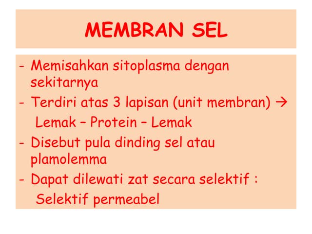 Siklus sel | PPT