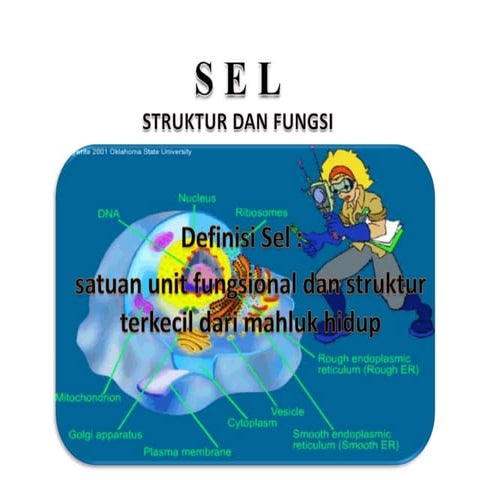Sel | PPT
