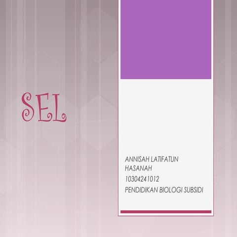 Sel | PPT