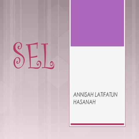 Sel | PPT