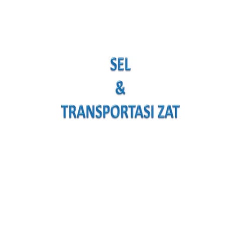 Sel | PPT