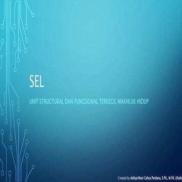 Sel | PPT