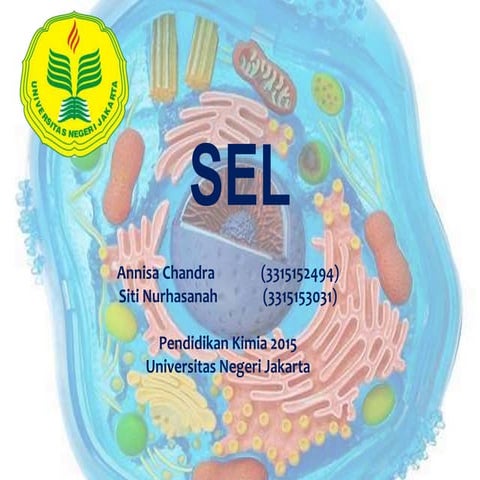 SEL | PPTX