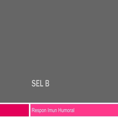 Sel b respon imun humoral | PPTX