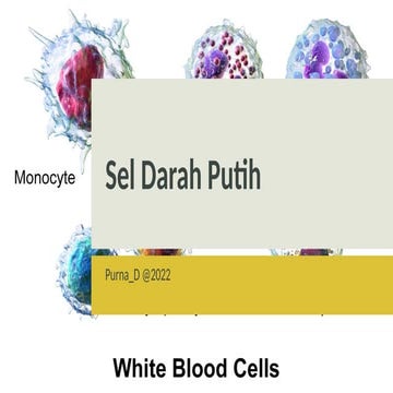 Sel_Darah_Putih_ dalam peredaran darah manusia | PPTX
