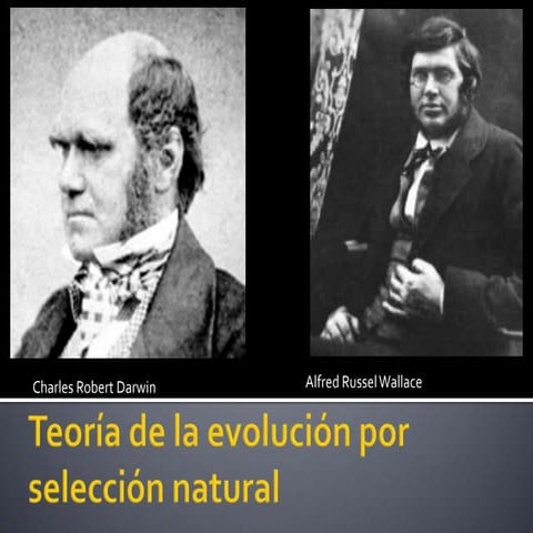 Teoría de la evolución por selección natural | PPTX