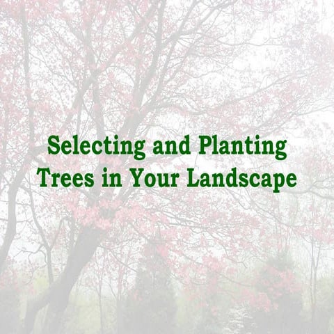 Selecting and planting trees in your landscape | PPT