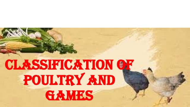 Day 13-16 (Breeds of Farm Animals Chicken, Duck, and Quail).pptx