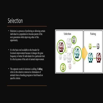 Selection and mating in case of animal .pptx