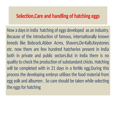 Selection,Care and handling of eggs.pptx