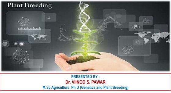 PEDIGREE METHOD OF PLANT BREEDING | PPTX | Gardening | Home & Garden