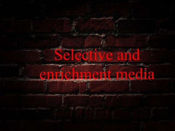 Selective Media | PPTX