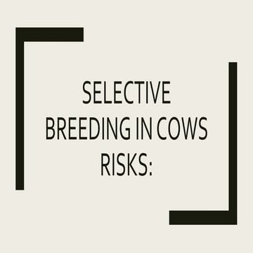 Selective breeding in cows risks | PPTX