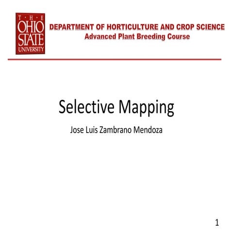 Selective Mapping Tutorial | PPT