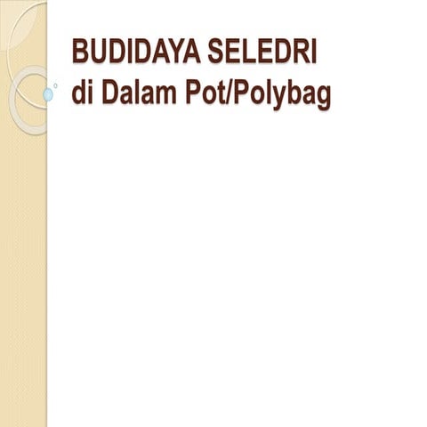 Budidaya Seledri dalam pot.pptx