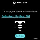 Selenium Python 101 | PDF