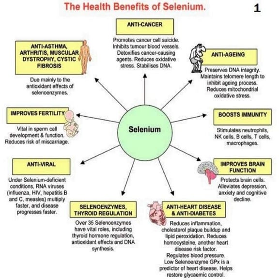 Selenium Updated.pdf