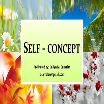 Self concept | PPTX