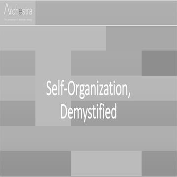 Self-Organization Demystified | PDF