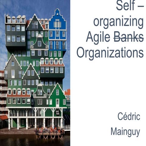 Self Organizing Agile Transitions Ppt 7720