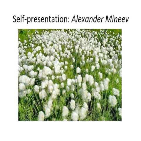 Self-presentation: Alexander Mineev | PPT | Polar Travel | Travel Locations