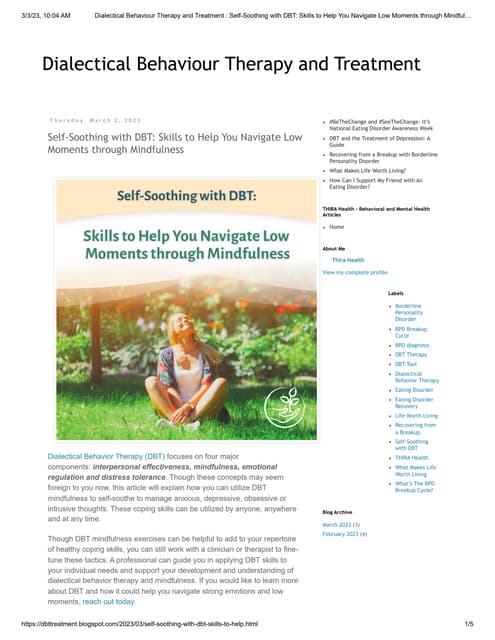 Dialectical Behavioral DBT Therapy Skills in Daily Life | PDF