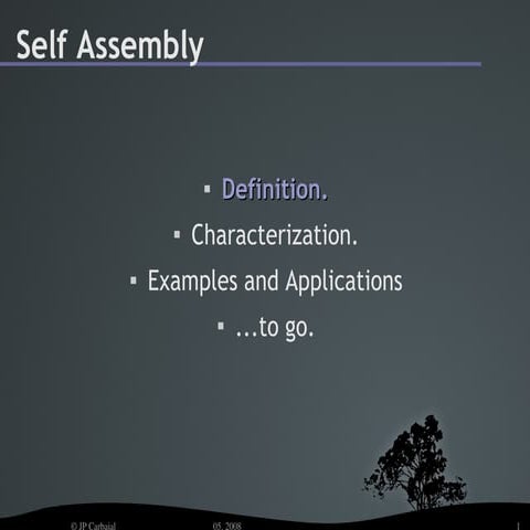 Self Assembly | PDF